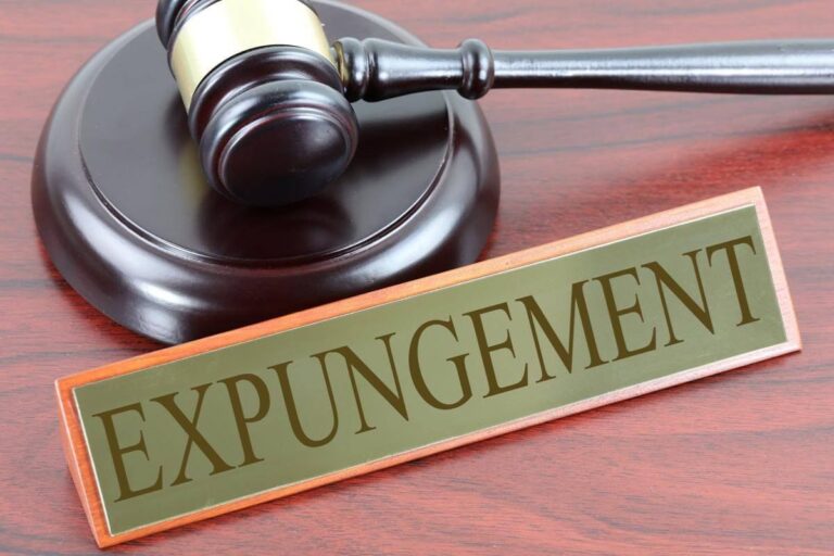 Expungements of criminal records - Immigration